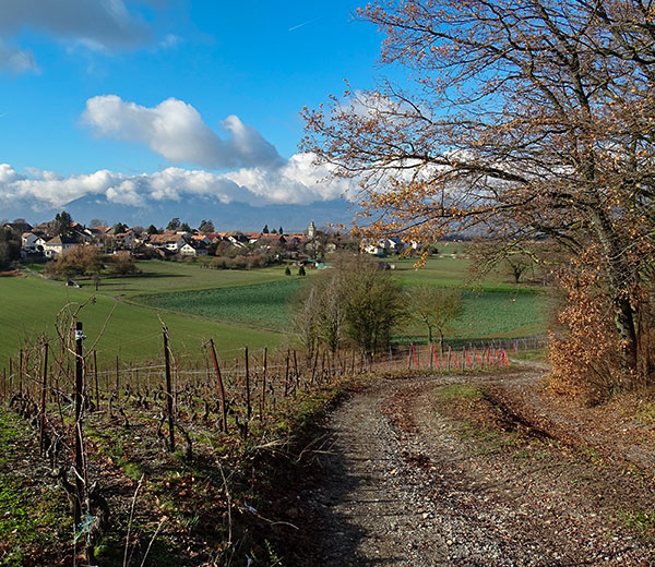 Accueil - Balades, randonnées et bonnes adresses sur le parcours