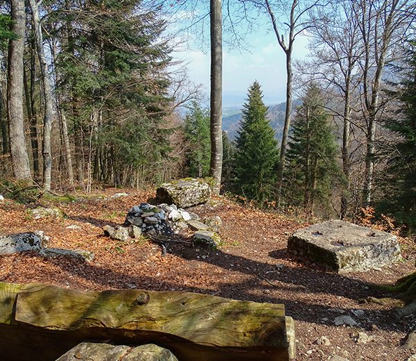 Accueil - Balades, randonnées et bonnes adresses sur le parcours
