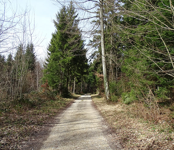 Accueil - Balades, randonnées et bonnes adresses sur le parcours