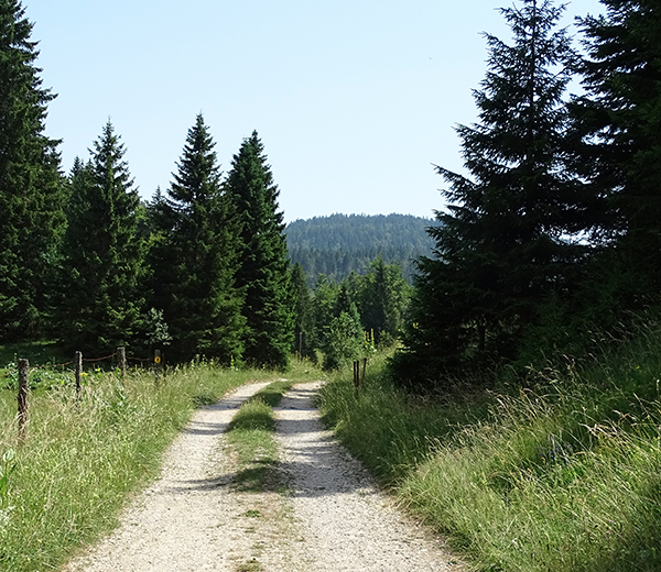 Accueil - Balades, randonnées et bonnes adresses sur le parcours