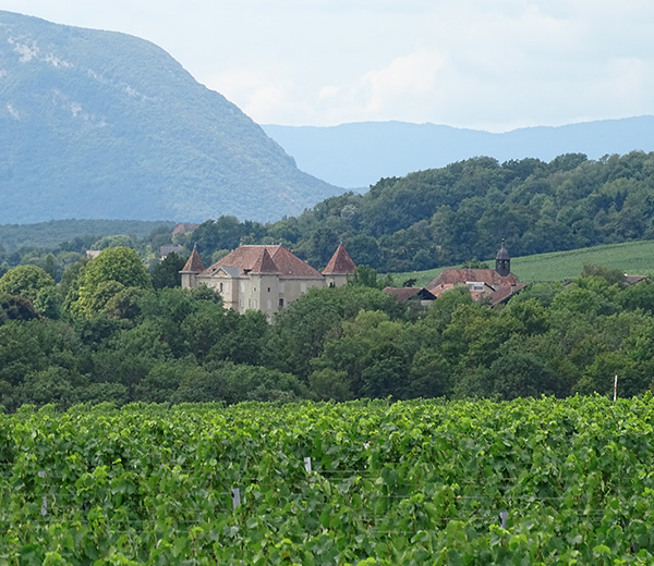 Accueil - Balades, randonnées et bonnes adresses sur le parcours